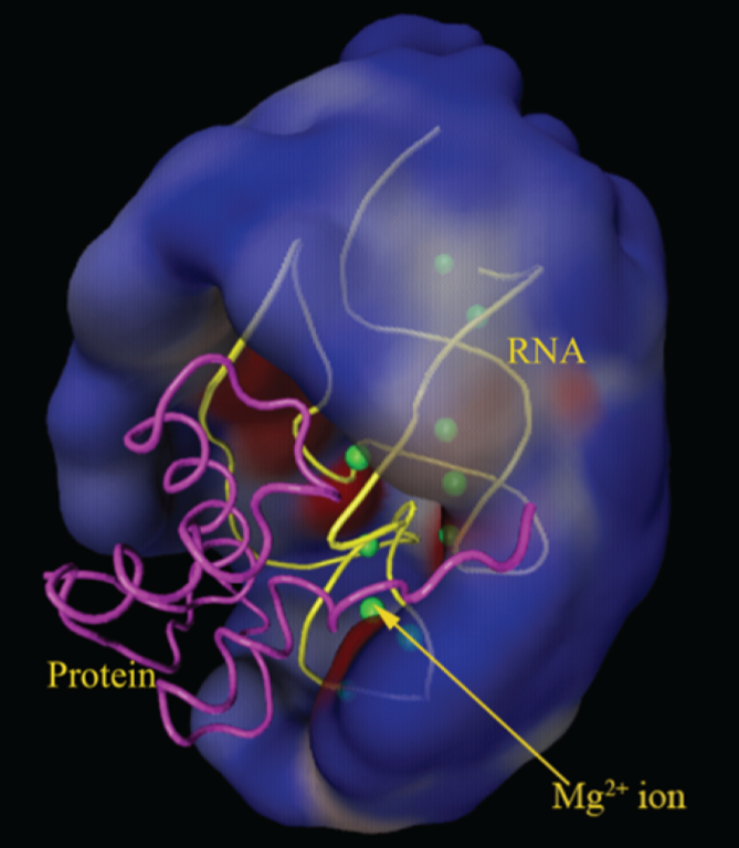 Labs – MU Institute for Data Science and Informatics